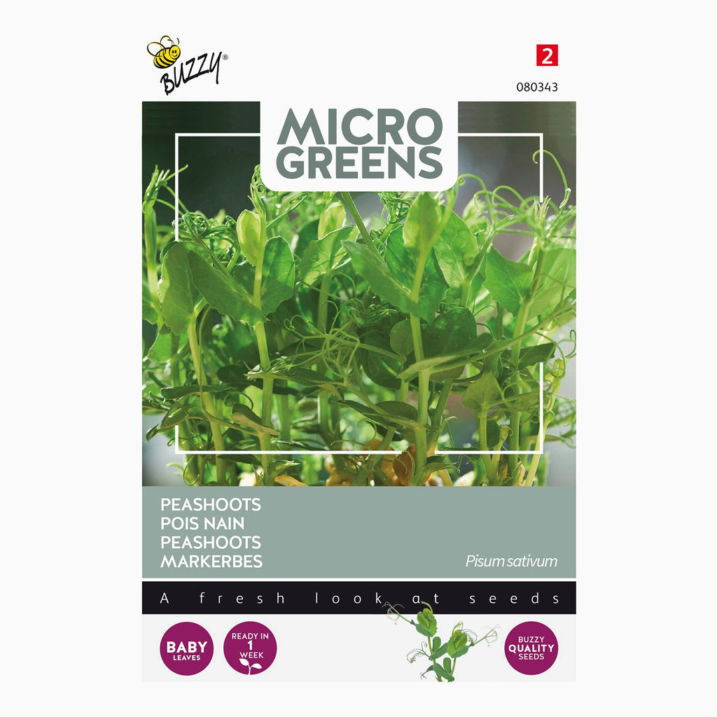 Microgreens Erbsensprossen sprießen Gemüse - Buzzy – De Moestuinwinkel