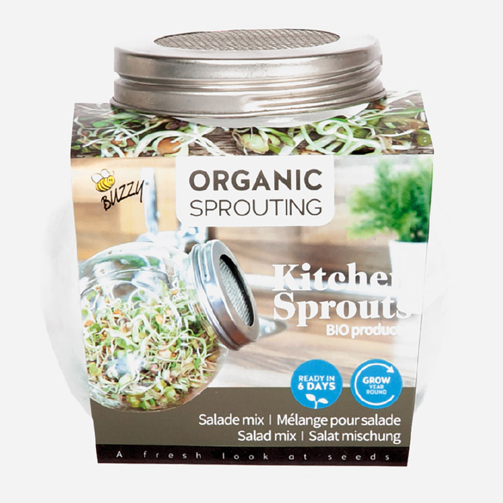 Buzzy Organic Salatmischung Sprossen im Glas – De Moestuinwinkel