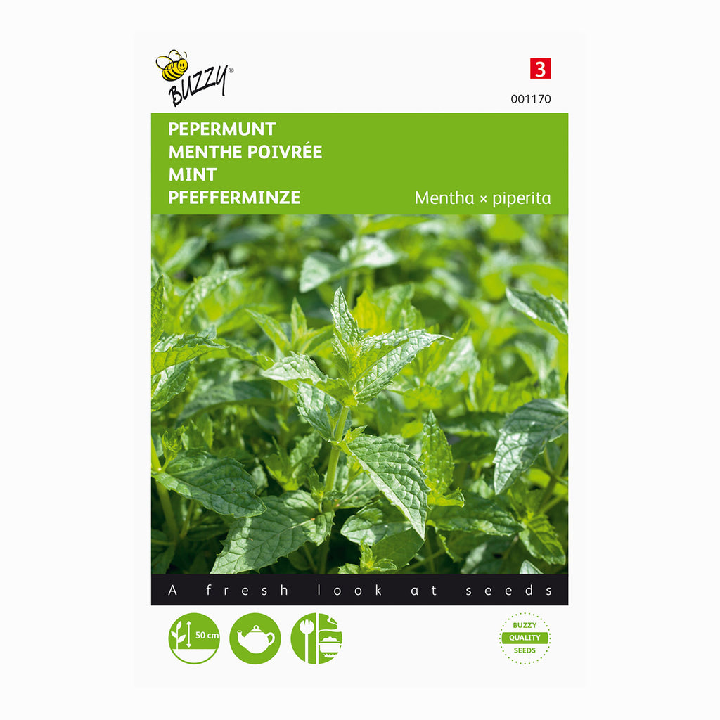 Pfefferminze - Buzzy – De Moestuinwinkel